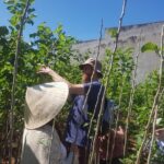 Coffee & Culture Experience _From Farm to Cup by Elon Farm - The Sum Up