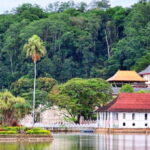 Colombo: 2-Day Cultural Highlights & Heritage Sites Tour - Wildlife Safari at Minneriya National Park