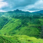 Colombo Airport to Kandy Taxi - Why Choose a Colombo Airport to Kandy Taxi?