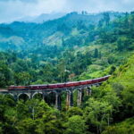 Colombo: All-Inclusive Scenic Train Journey To/From Ella - The Scenic Journey from Colombo to Ella