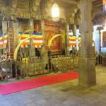 Colombo city tour starting from Negombo with License chauffeur Guide - What to Expect on the Tour