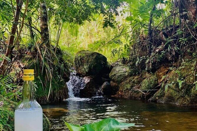 Colombo City Tours - The Itinerary and Key Stops