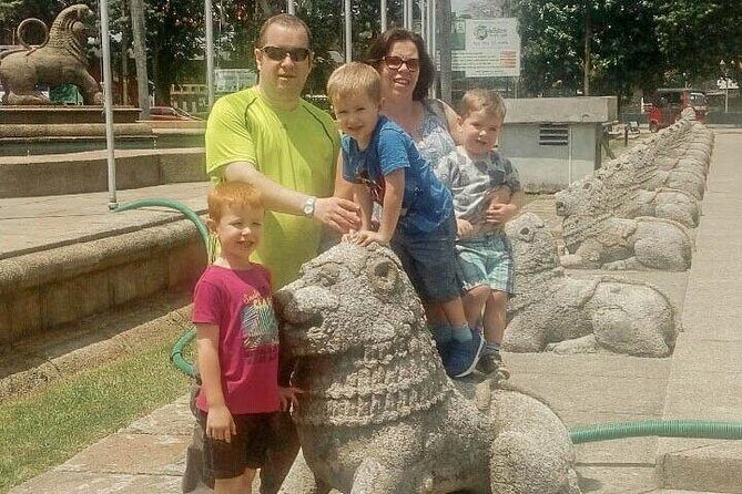 Colombo (CMB) Airport to Wirawila City Private Transfer - The Vehicle and Service Details