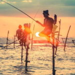 Colombo/ Negombo : Galle Fort & Bentota Beach Day Tour - A Deep Dive into the Tour Experience