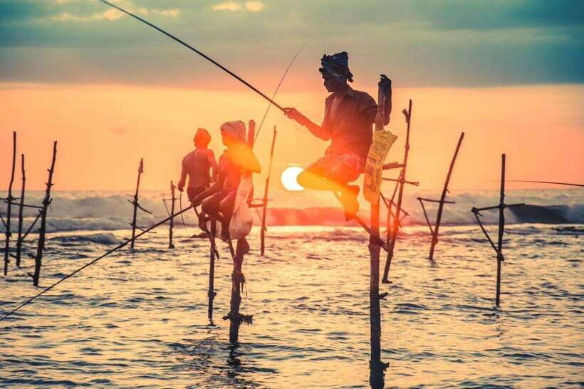 Colombo/ Negombo : Galle Fort & Bentota Beach Day Tour - A Deep Dive into the Tour Experience