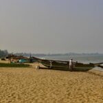 Colombo Port Passenger terminal Shore excursion - Negombo beach - What Travelers Say: Insights from Feedback