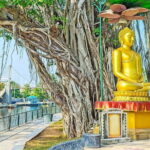 Colombo Private City Tour - Breaking Down the Itinerary