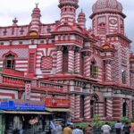 Colombo Shore Excursions City Tour from Port Passenger Terminal. - The Sum Up: Is This the Right Tour for You?