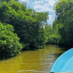 Colombo to Galle All Inclusive Private Day Tour - Who Would Enjoy This Tour?