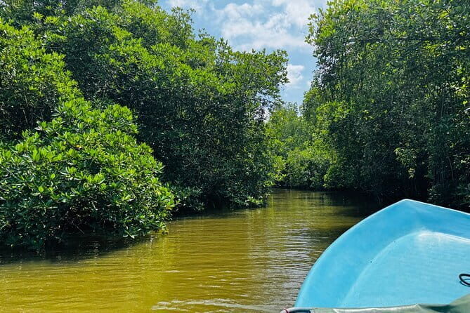 Colombo to Galle All Inclusive Private Day Tour - Who Would Enjoy This Tour?