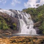 Colombo to Nuwara Eliya Transfer - What Travelers Are Saying (Based on Existing Reviews)