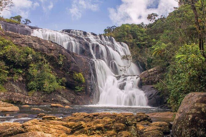 Colombo to Nuwara Eliya Transfer - What Travelers Are Saying (Based on Existing Reviews)