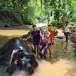 Colombo To Pinnawala & Kandy Luxury Day Tour by Car/Van/Bus - Practical Details: Comfort and Convenience