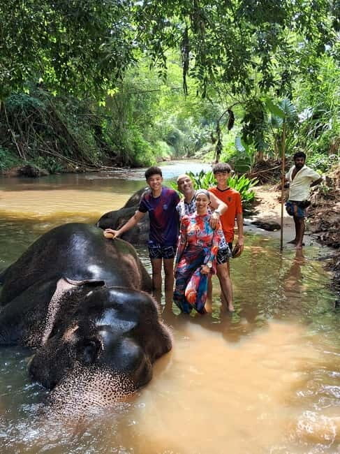 Colombo To Pinnawala & Kandy Luxury Day Tour by Car/Van/Bus - Practical Details: Comfort and Convenience