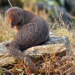 Colombo: Water rafting, Bird Watching, Village & Rainforest - What’s Included and What to Expect