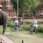 Colors of Ayutthaya Full-Day Bike Tour - The Experience in Action: What You Can Expect