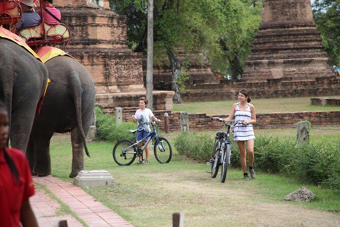 Colors of Ayutthaya Full-Day Bike Tour - The Experience in Action: What You Can Expect