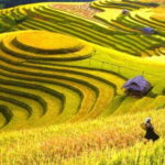 Colors of Sapa - Vietnam 2 Days Tour - Transport and Comfort