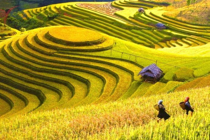 Colors of Sapa - Vietnam 2 Days Tour - Transport and Comfort