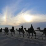 Combo E-Bike Adventure with Camels and Lunch in Cabo - Who Will Love This Tour?