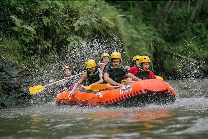 COMBO PACKAGE: Ayung River Rafting and Ubud Tour - The Itinerary in Detail