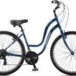 Comfort Bike for the Day - Who Should Consider This Service?