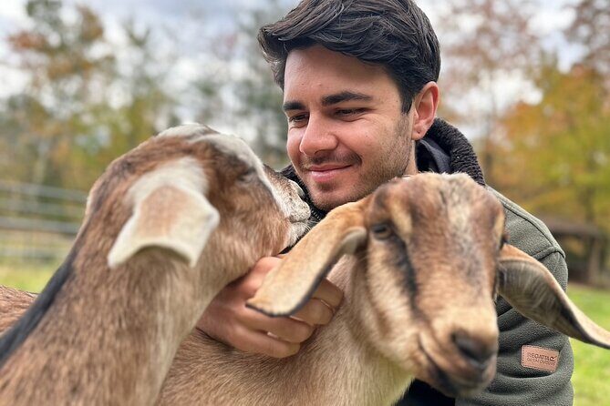 Connect with Rescue Animals on a Private Farm Tour in Catskills - Authenticity and Customer Feedback