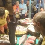 Cooking experience in Authentic Bengali House with Lunch/Dinner - Who Will Love This Experience?