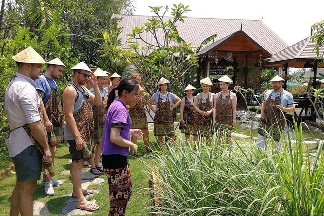 Cooking Morning Class Chiang Mai Visit Organic Garden and Market - Authenticity, Value, and Overall Impression