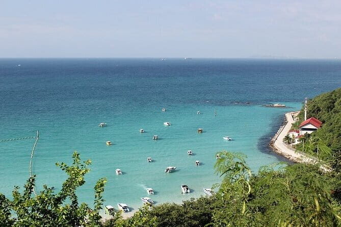 Coral Island Tour and Water Activities with Meal in Pattaya - Who Will Enjoy This Tour?