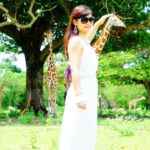 Coron: Calauit Safari Black Island Lunch & Transfer included - The Calauit Wildlife Safari: Up Close with Africa in Palawan