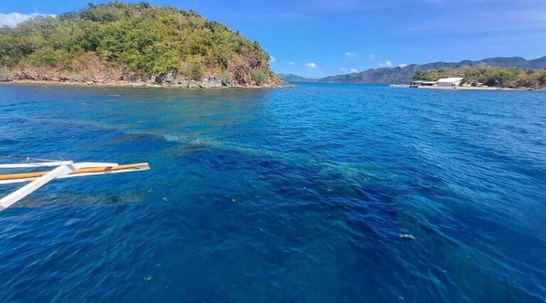 Coron Island: Reef and Wrecks Tour (JOINERS) - What’s Included and What You Might Bring