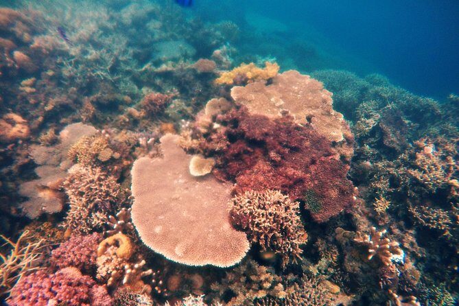 Coron Island Tour B (Shared Tour) - Who Should Book This Tour?