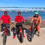 Coronado E-Bike Tour from San Diego - What Travelers Are Saying