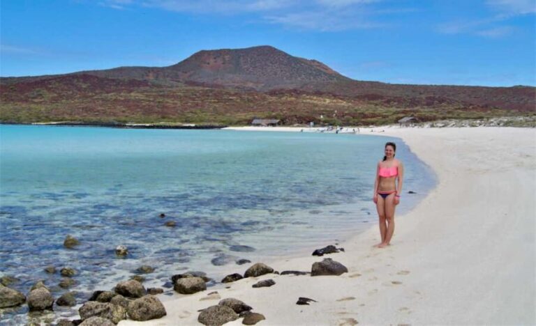 Coronado Island and Snorkel Tour - Why This Tour Still Stands Out