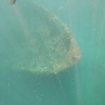 CORON:REEF AND WRECK - 2 JAPANESE WRECK AND PASS ISLAND TOUR - What’s Included and What To Prepare