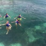 Costa Mujeres: Swim with Dolphins - What to Expect from Your Dolphin Encounter