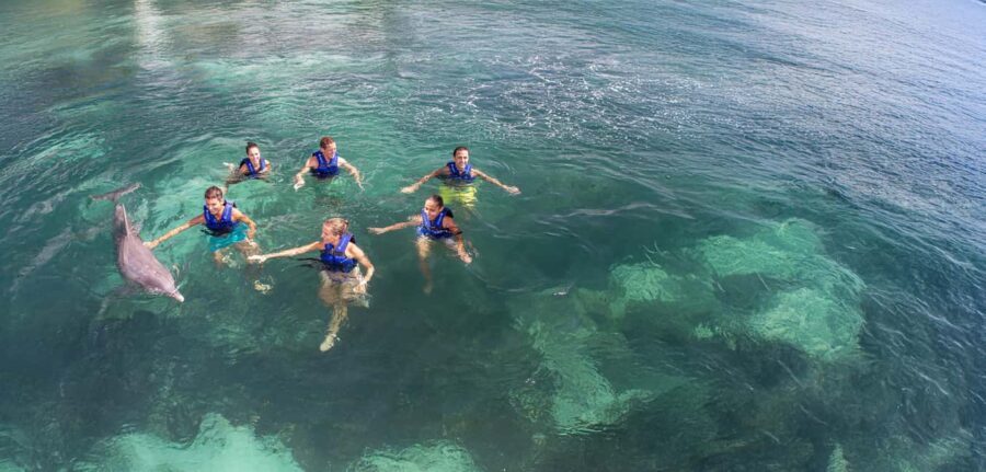 Costa Mujeres: Swim with Dolphins - What to Expect from Your Dolphin Encounter