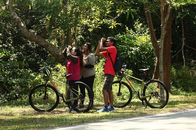 Countryside Biking Tour in Langkawi - What Travelers Say: Authentic Feedback