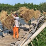 Countryside Experience ( half day - 60km/ 8.00am - 12.00pm/ 13.00 - 17,00 /65km - The Sum Up