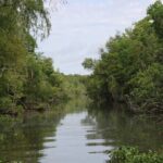 Covered Boat Swamp Tour with Transportation from New Orleans - The Limitations and Considerations