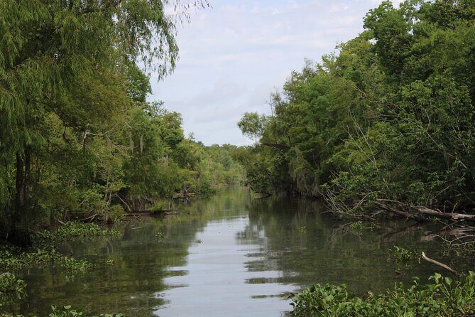 Covered Boat Swamp Tour with Transportation from New Orleans - The Limitations and Considerations