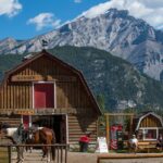 Covered Wagon Ride in Banff with Western Cookout - What the Reviews Reveal: Authentic Insights