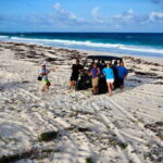 Cozumel: Private All Terrain Buggy Adventure at Virgin Beach - Pricing and Value
