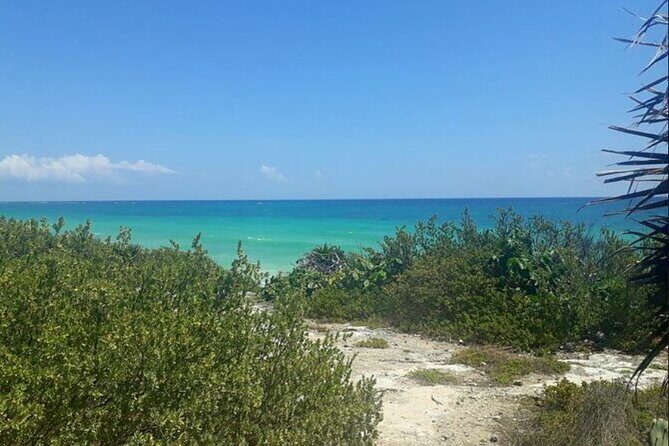 Cozumel: Private Jeep Tour, Mayan Ruins, Snorkeling & Lunch - Is It Good Value?