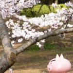 Crayon Shinchan Adventure Park Entry Ticket - Final Thoughts