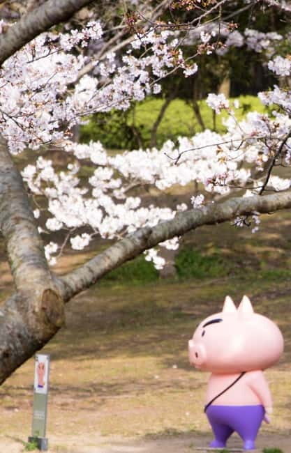 Crayon Shinchan Adventure Park Entry Ticket - Final Thoughts