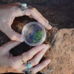 Create Energetic Flower Essences and Reconnect with Nature - The Itinerary in Detail