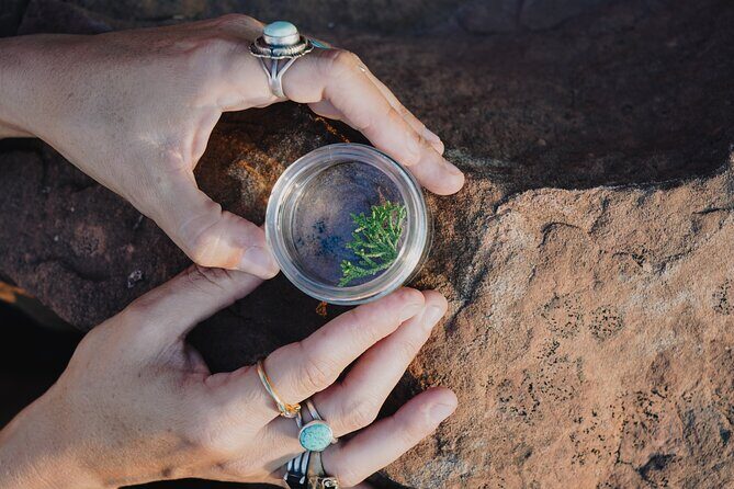 Create Energetic Flower Essences and Reconnect with Nature - The Itinerary in Detail