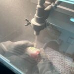 Create your Glass Artwork with Japanese Motifs in Tokyo - The Value — Is It Worth It?